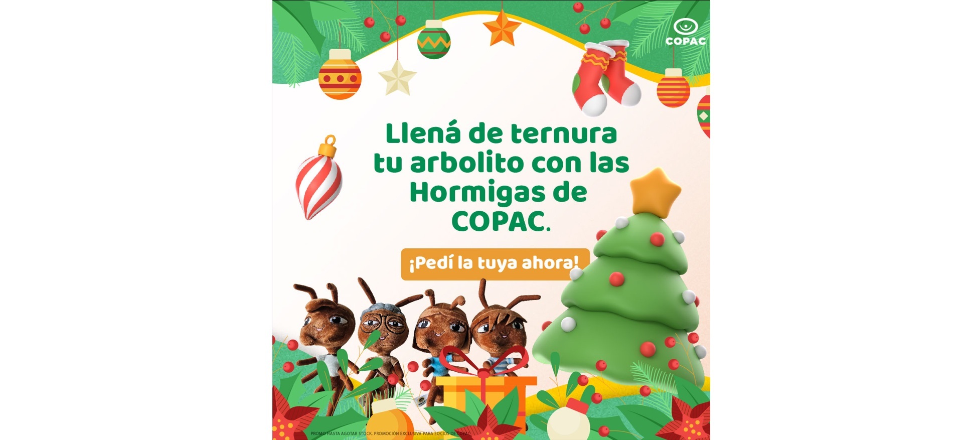 NOTICIAS - COPAC