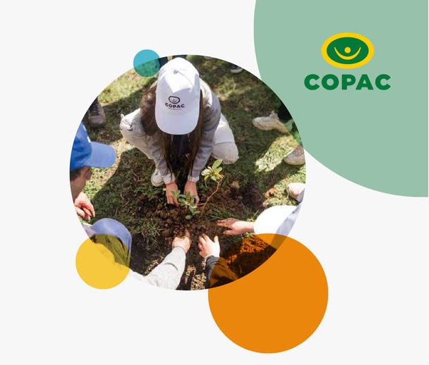 NOTICIAS - COPAC