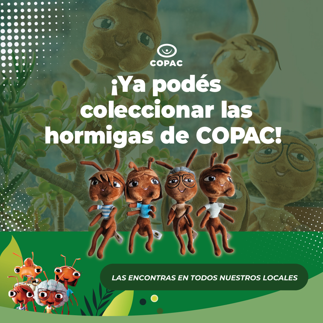 NOTICIAS - COPAC